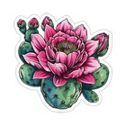 Desert Cactus Pink Flower Realistic Nature Artwork Kiss Cut Sticker ...