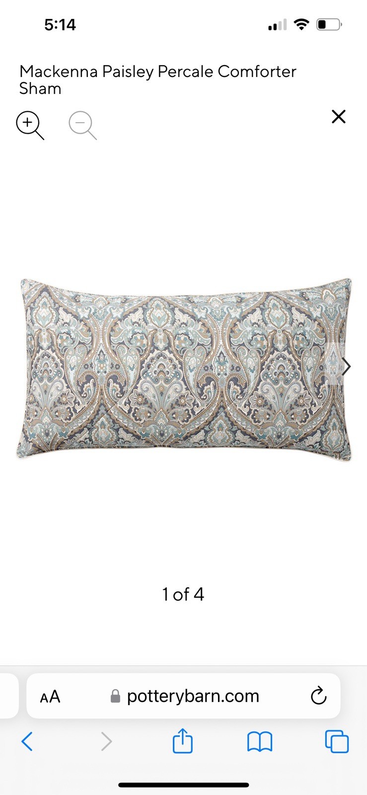 Pottery Barn Mackenna King Paisley Green Quilted Shams Organic Percale ...