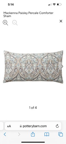 Pottery Barn Mackenna King Paisley Green Quilted Shams Organic Percale ...