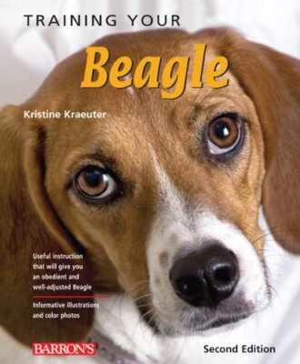 Training Your Beagle (Training Your Dog) By Kristine Kraeuter. 9 ...