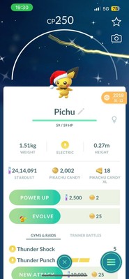 Shiny Santa Hat Pichu | eBay