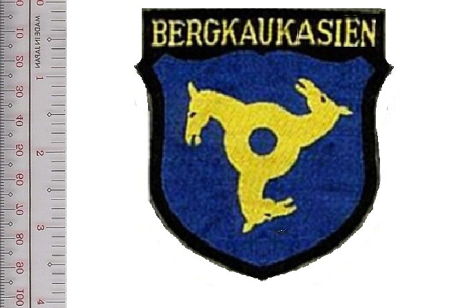 Germany & Russia WWII Foreign Legion Russian Eastern Legion Wehrmacht ...