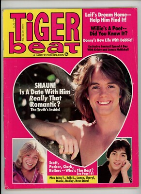 August 1978 Tiger Beat Rick Springfield Steve Guttenberg Robby Benson ...