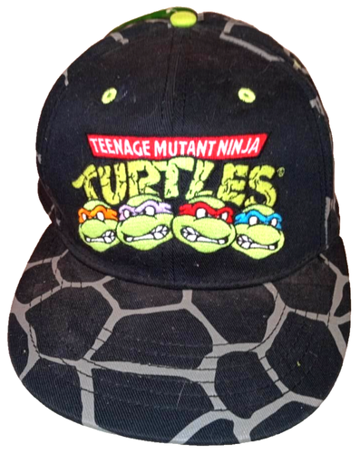 Teenage Mutant Ninja Turtles Hat Cap Snap Back Graphic Embroidered Mens ...