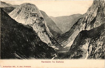 CPA AK NORWAY Naerödalen fra Stalheim (340554) | eBay