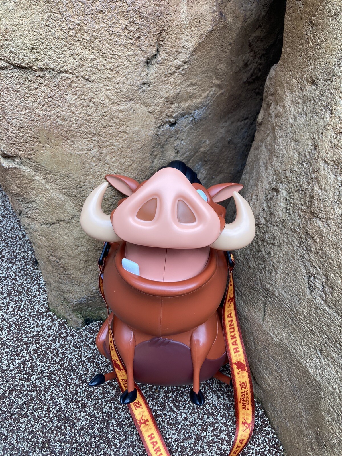 Disney Parks Animal Kingdom 25th Anniversary Lion King Pumba Popcorn ...