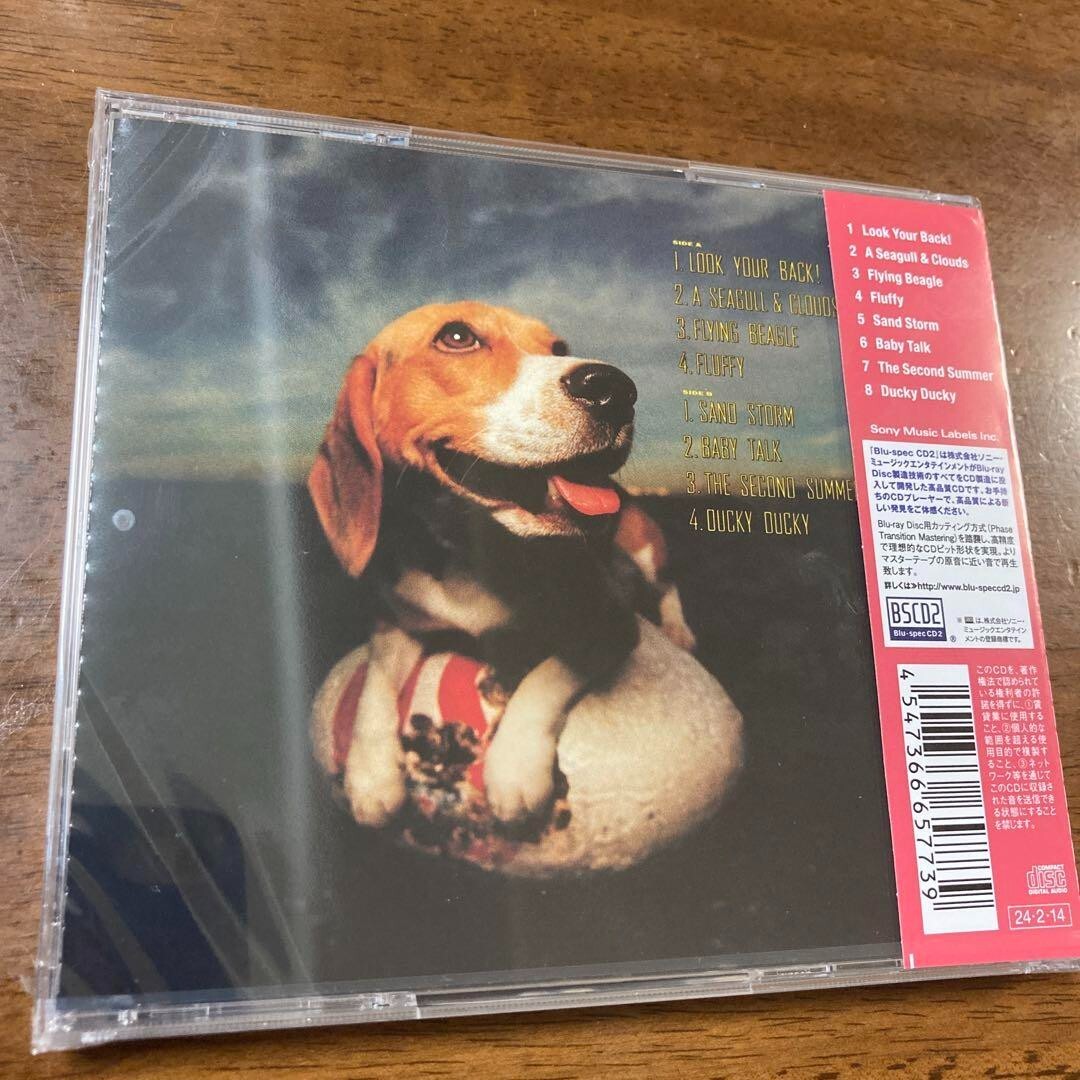 Himiko Kikuchi FLYING BEAGLE Limited Edition Blu-spec CD2 new | eBay