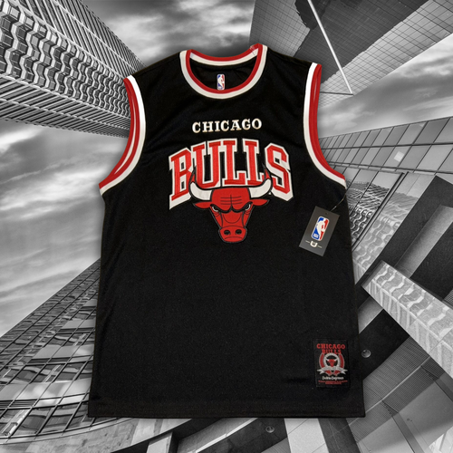 NBA Basketball Chicago Bulls Eastern Conference Champion Jersey Size US ...