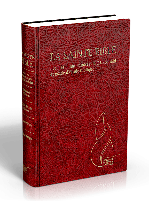 French Bible, Scofield Study Bible, Segond NEG, La Sainte Bible ...