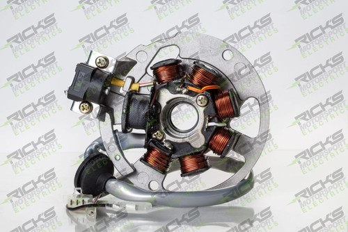 Ricks Stator For E-TON Lightning 50 AXL50 1999-2001 21-550 | eBay
