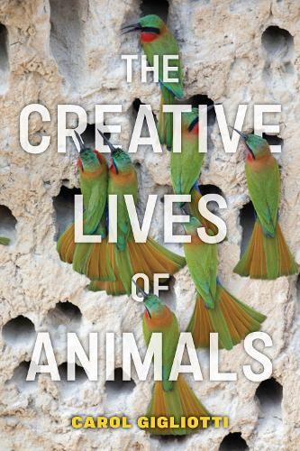Carol Gigliotti The Creative Lives of Animals (Hardback) Animals in ...