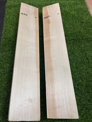 English Willow Clefts All Grades. | eBay Australia