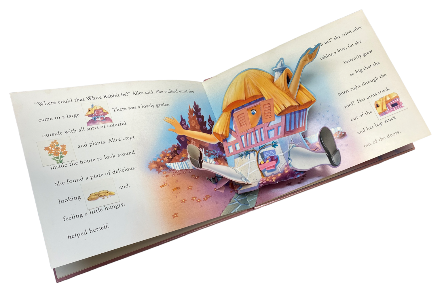 Walt Disney's Alice in Wonderland Down the Rabbit Hole (A Life-The-Flap ...