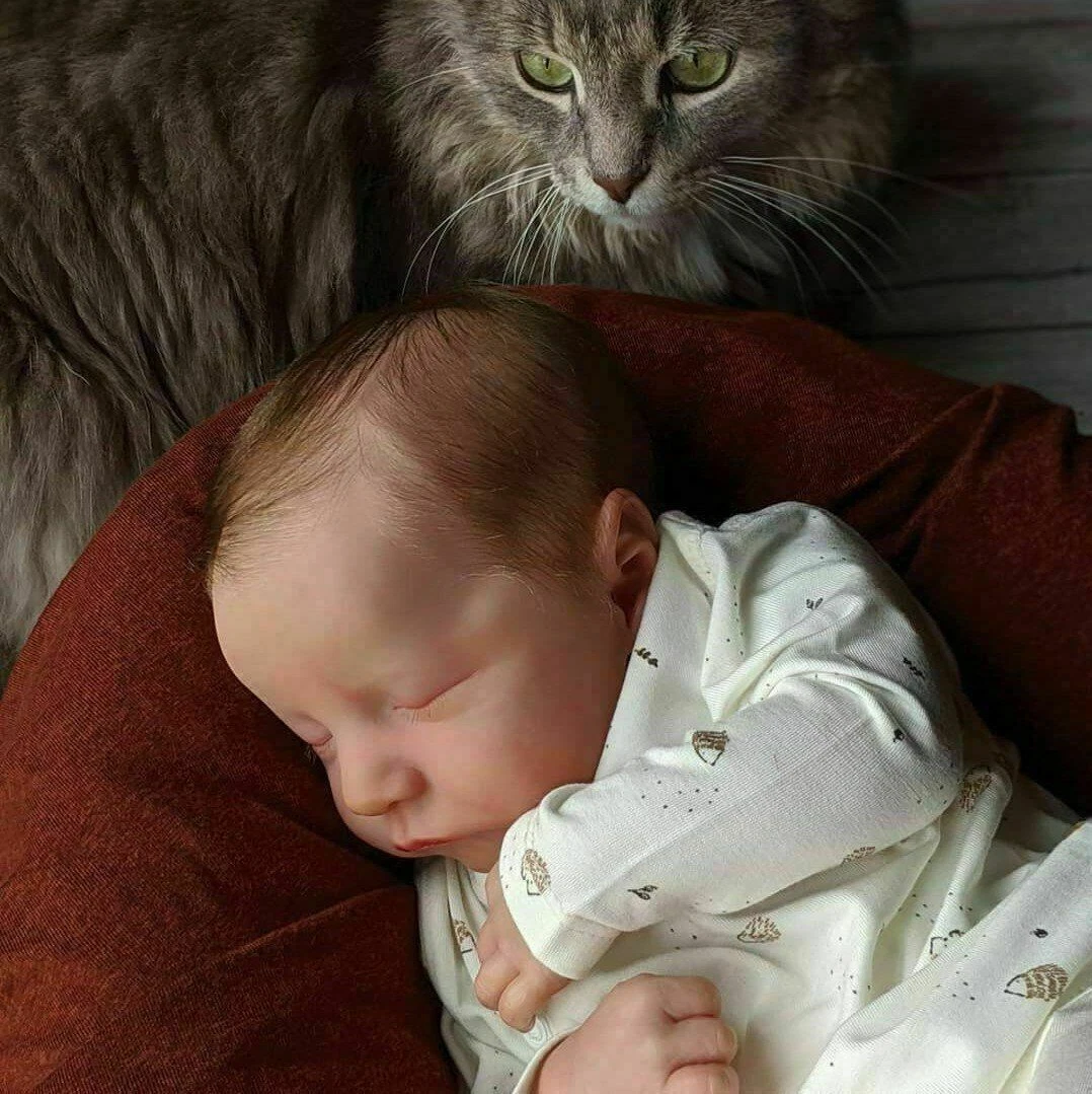 Reborn Doll Cat