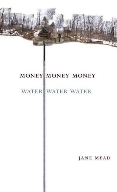 Money Money Money Water Water Water: A Trilogy by Jane Mead (Paperback ...