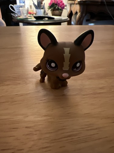 LPS Littlest Pet Shop #1767 Corgi Puppy Dog Brown Purple Eyes 978 | eBay