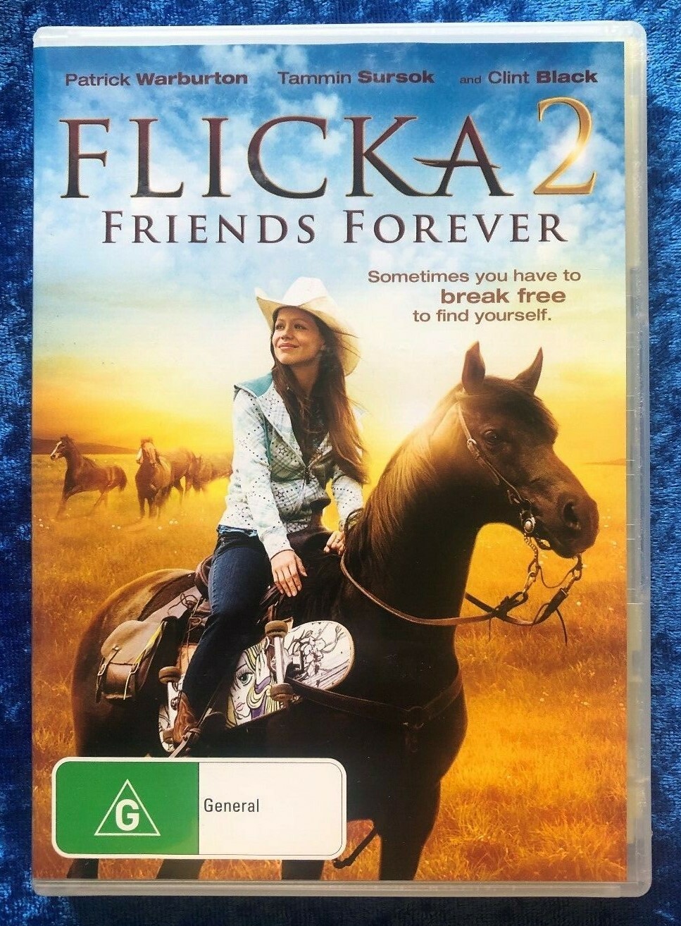 Flicka 2 Friends Forever Region 4 DVD Free Postage | eBay