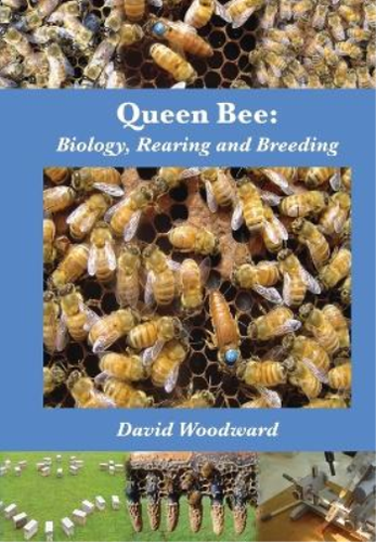 David Woodward Queen Bee (Poche) 9781904846352 | eBay