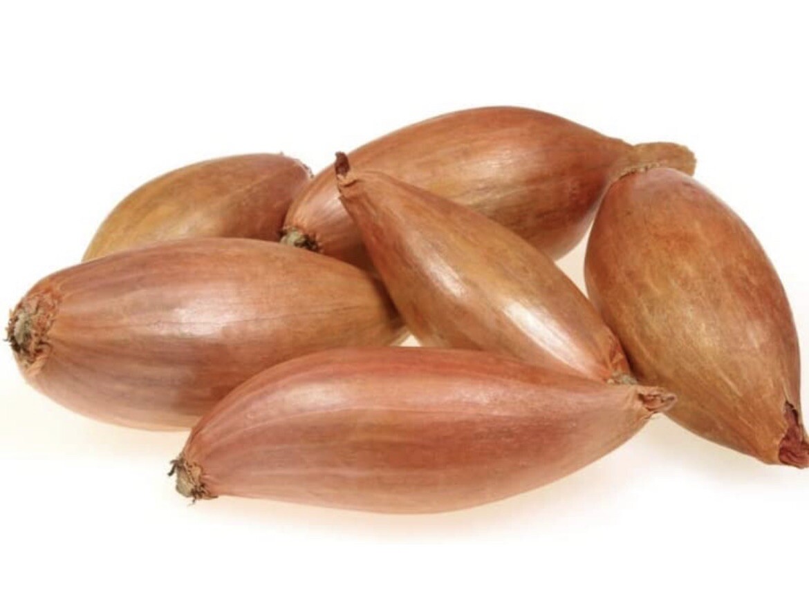 MIXED SHALLOT SETS (French & Round Bulbs) - NON-GMO Multiplier Onion ...