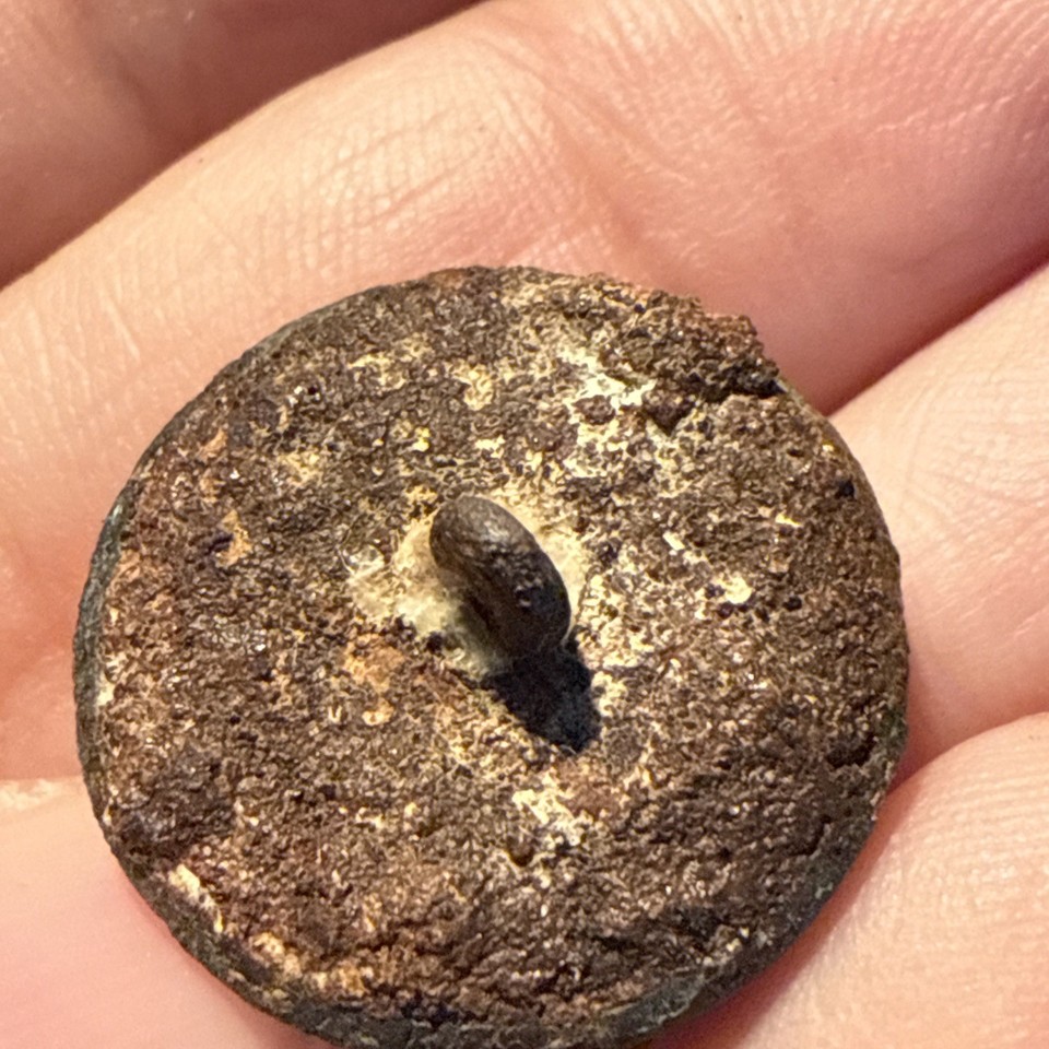Civil War 💥 🇺🇸 💣 Rare Confederate E M Lewis North Carolina Coat Button ...