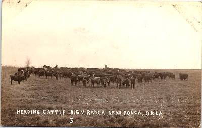 Herd Cattle Real Photo Postcard Big V Ranch near 101 Ranch Ponca City ...