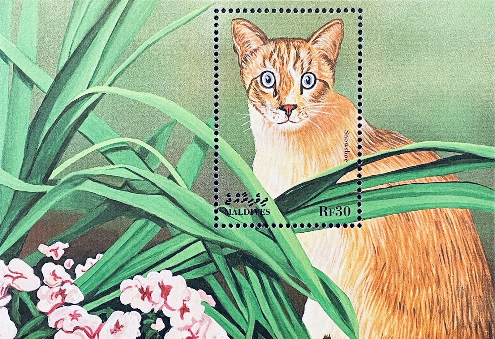 MALDIVES CATS OF THE WORLD STAMPS SOUVENIR SHEET 1998 MNH ANIMALS CAT ...