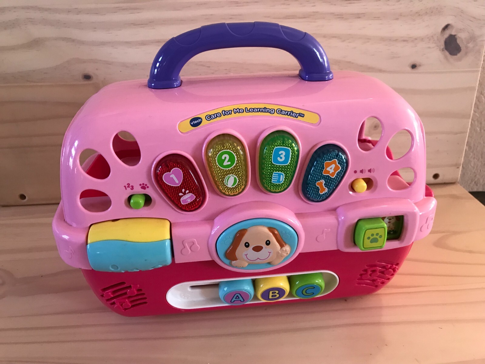 VTech Care For Me Learning Pet Carrier Pink Lights Sounds Interactive 9 ...