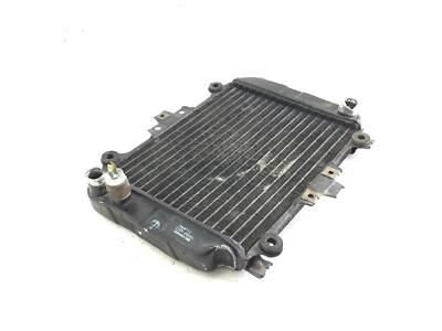 Radiator With Filler Repair DIY Small Crack KAWASAKI KLE 500 1991 1994 ...