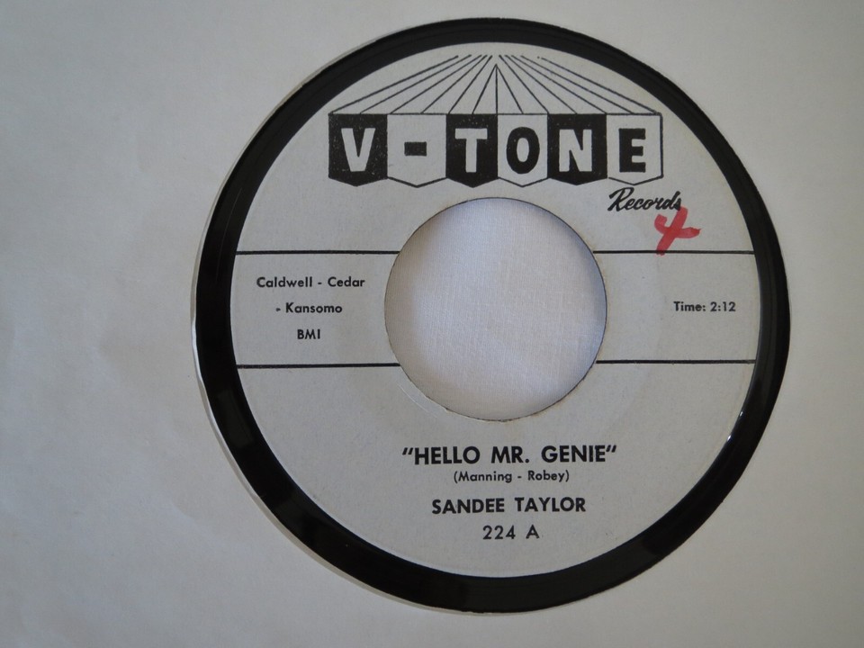 Sandee Taylor – Hello Mr Genie / Love Bird V-Tone Records - 224 Vinyl 7 ...