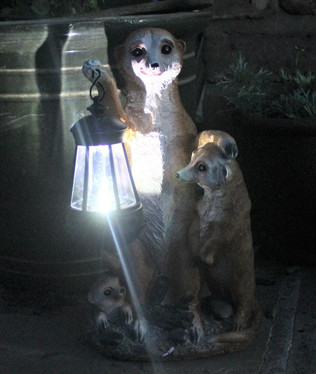 Meerkat Solar Light Garden Ornaments | Fasci Garden