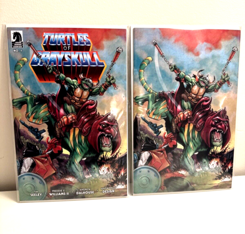 MOTU & TMNT: Turtles of Grayskull #1 Michelangelo & Battle Cat Mike ...