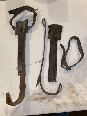 Climbing Spikes & Gaffs - Vintage Buckingham Tree