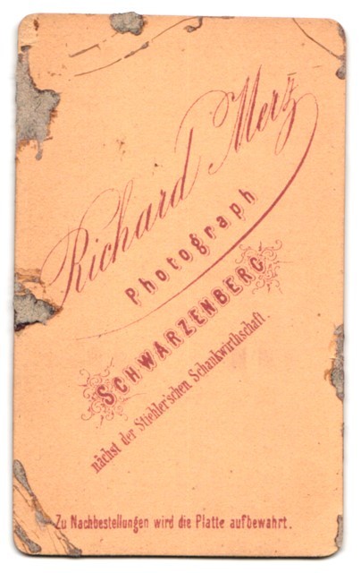Fotografie Richard Merz, Schwarzenberg, Portrait bürgerlicher Herr mit ...