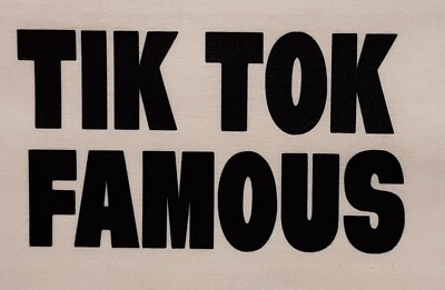 TIK TOK FAMOUS MESH TRUCKER CAP SNAP BACK (PICK COLOR) SAYING | eBay