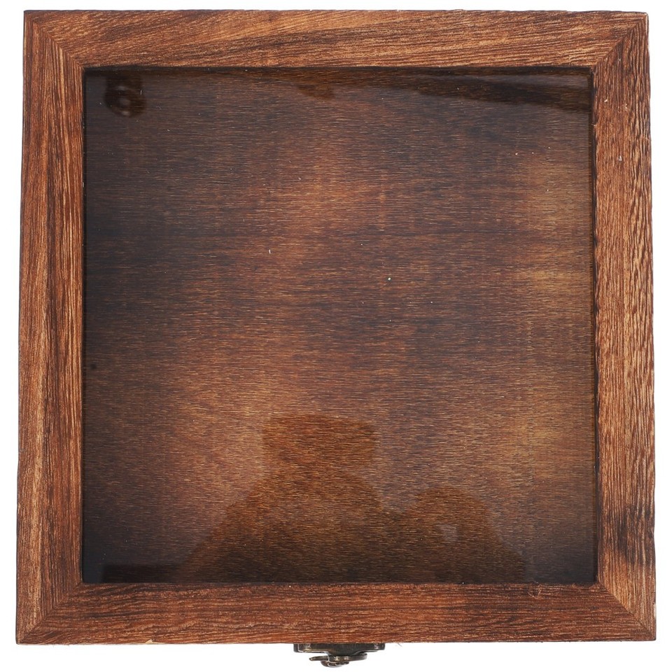 Insect Display Case Box Specimen Observer Cases for Collectibles | eBay UK