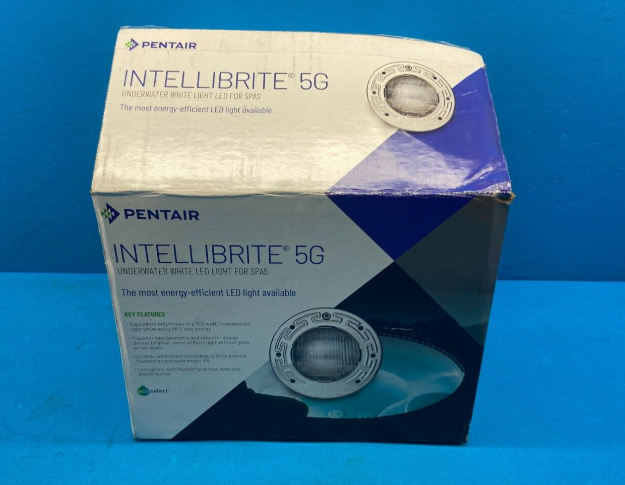 Pentair 30' 120v IntelliBrite 5G White LED Spa Hot Tub Light 640140 | eBay