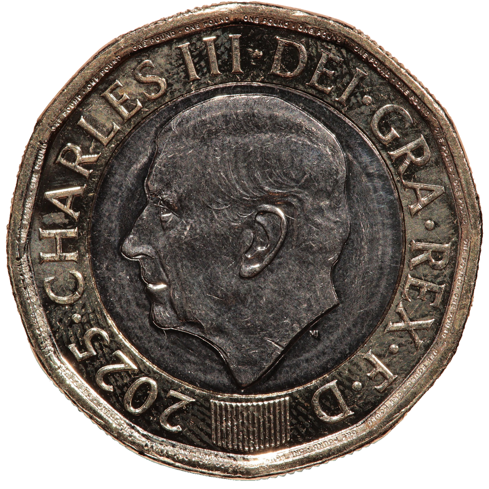 2025 KING CHARLES III BEE £1 ONE POUND COIN | eBay