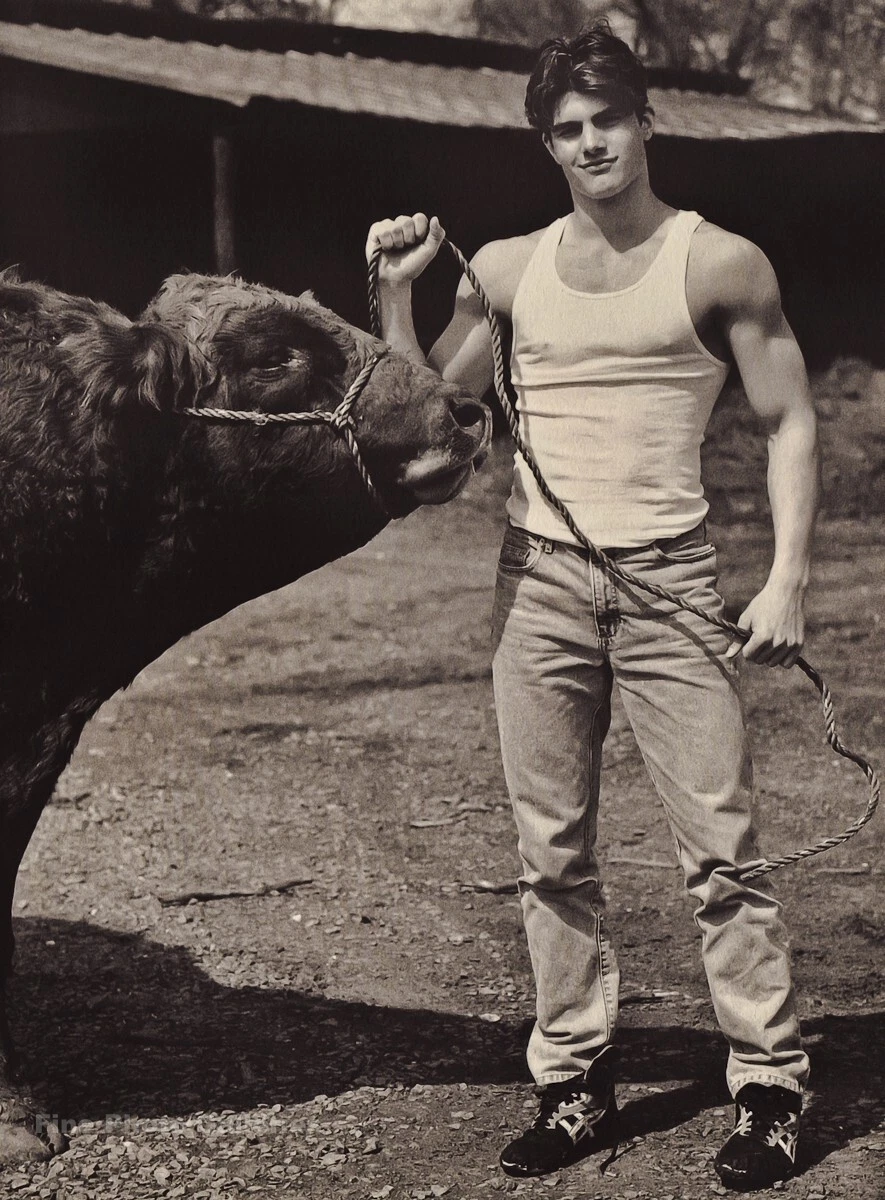 Bruce Weber Livestock