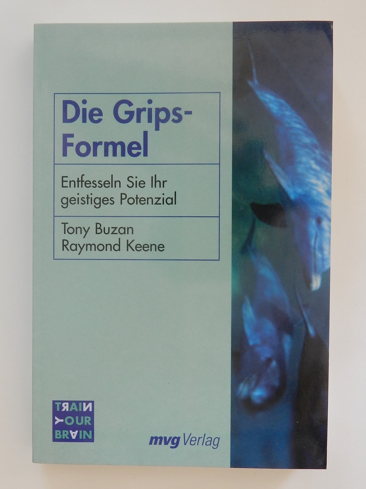 Tony Buzan Raymond Keene Die Gips Formel Entfesseln Sie Ihr geistiges ...