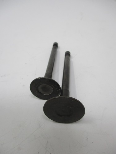 Genuine Kawasaki 12005-2087 Exhaust & 12004-2098 Intake Valves for ...