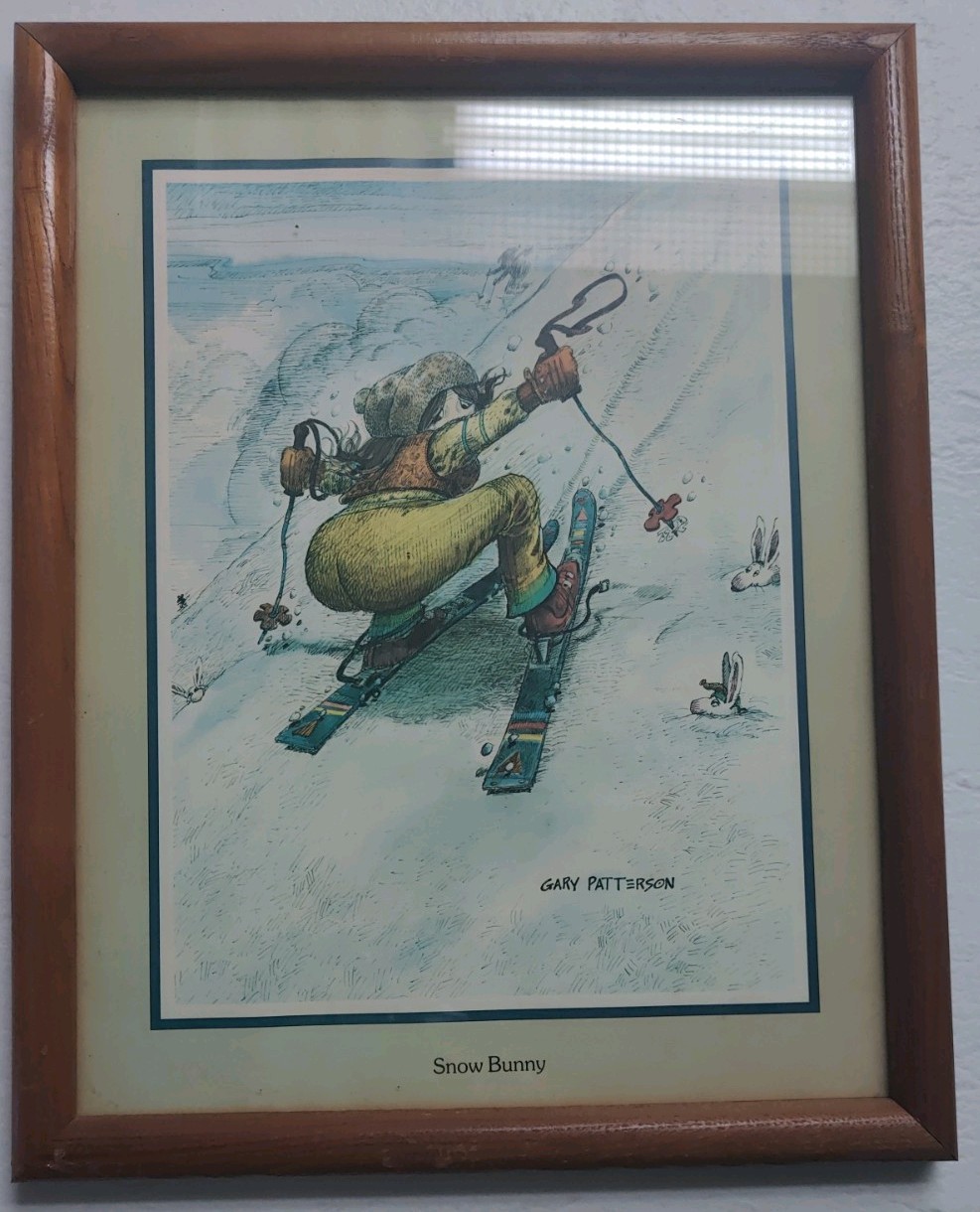 Gary Patterson Vintage Framed Ski Print Snow Bunny Skiing | eBay