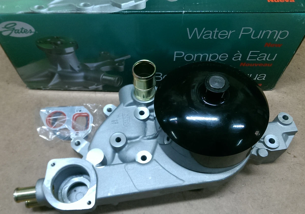 LS1 Water Pump Genuine GM VT VX VY VZ V8 SS HSV – Malex, 60% OFF