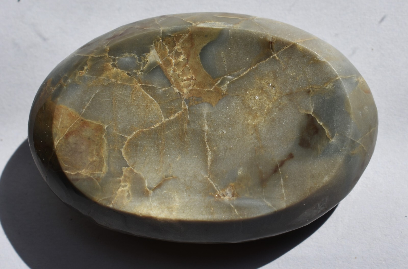 Agatized Coral Fossil Blue Red Ancient Seabed Natural from North ...