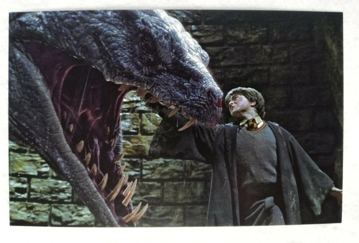 Harry Potter And The Chamber Of Secrets Snake