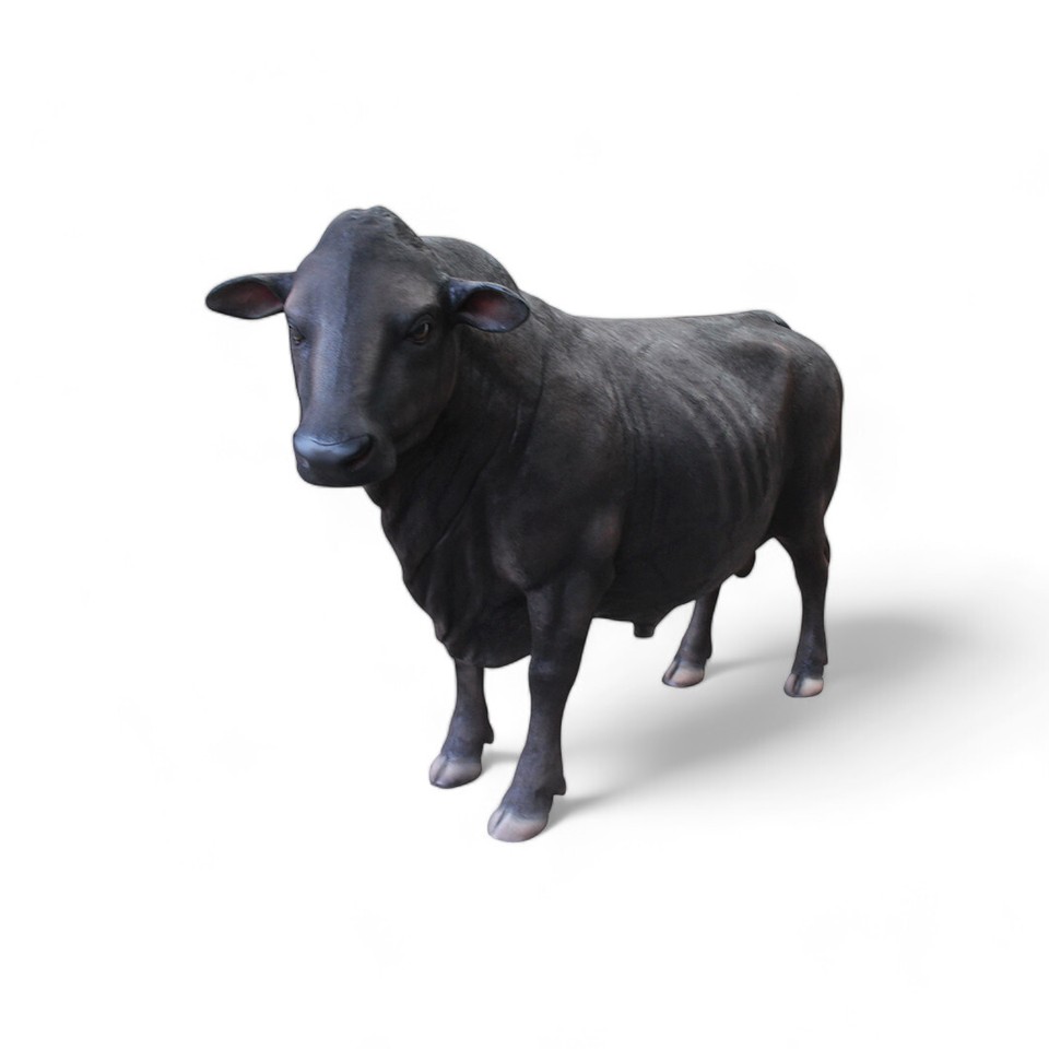 Large Bull Statue - Life Size Bull Statue - Black Angus Bull Life Size ...