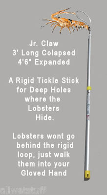 Jr. Claw TICKLE STICK Catch Lobster bug claw net bully pole bag dive ...