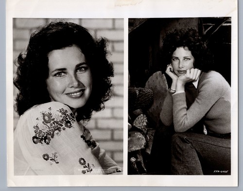 Dayle Haddon (1970s) 🎬⭐ Original Vintage - Stunning Portrait Photo K ...