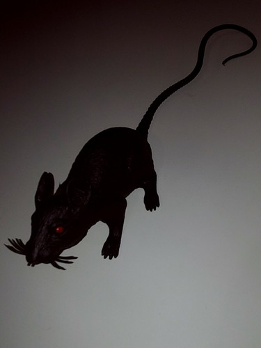 Fake Rat Halloween Decoration | eBay