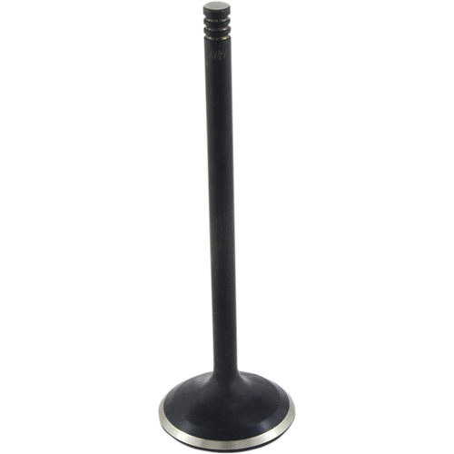 AV&V - AV33 - Extreme-Duty Tulip Exhaust Valve, Black | eBay