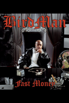 Birdman Fast Money Art Wall Indoor Room Outdoor Decor - POSTER 20x30 | eBay